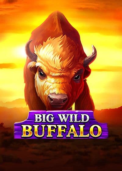 betBonanza - Best Betting and Game Platform in Nigeria